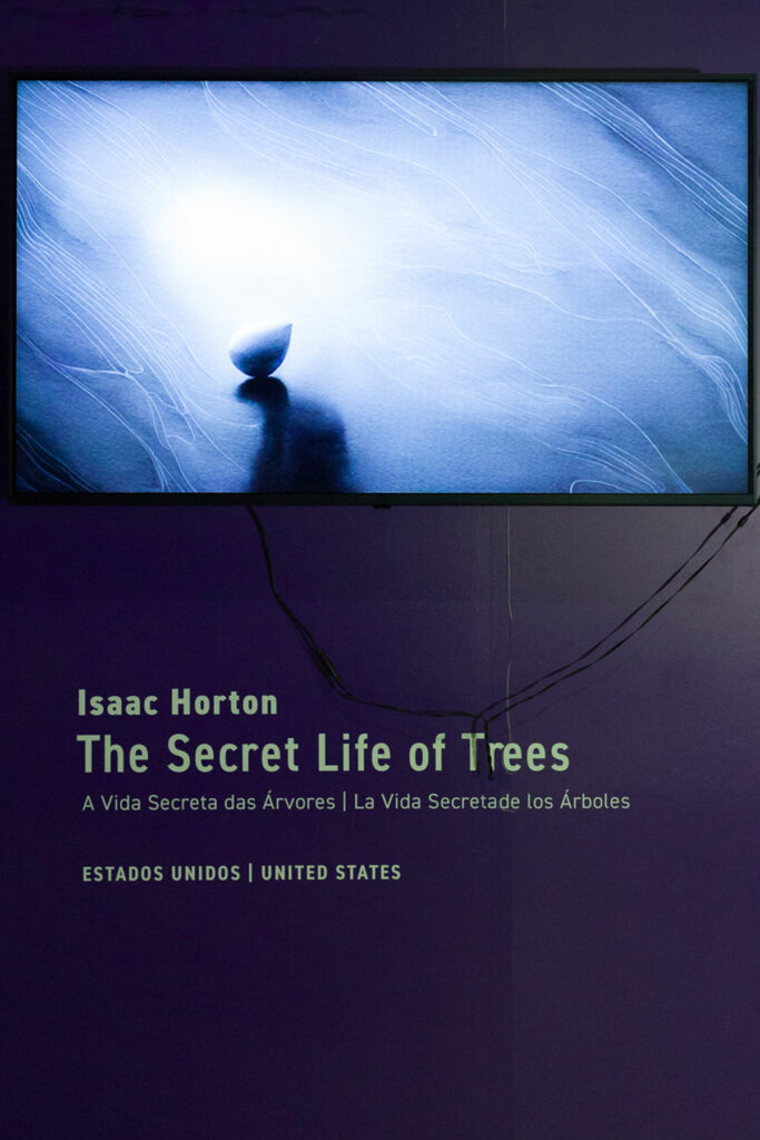 Glenn Marshall, Isaac Horton – NOVA BIENAL RIO